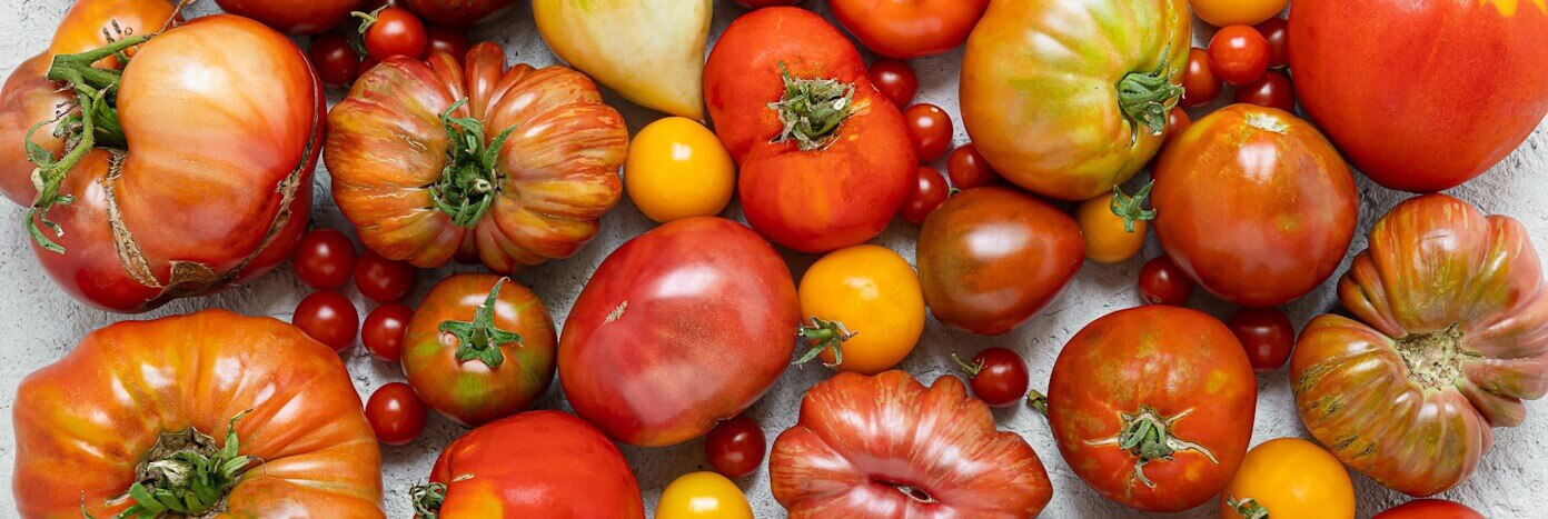 Tomates por mayor, a granel y por cajas | Makro