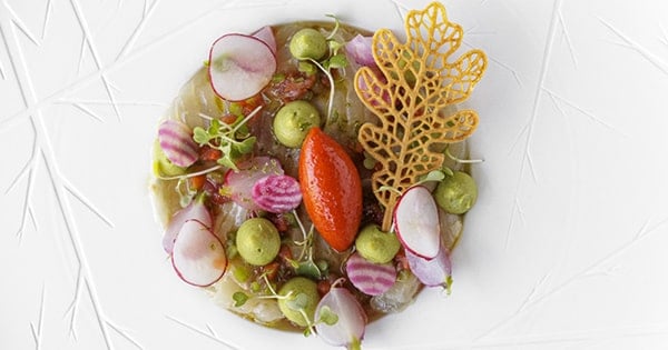 Recette de chef | Carpaccio de bar au ponzu, guacamole, radis et sorbet ...