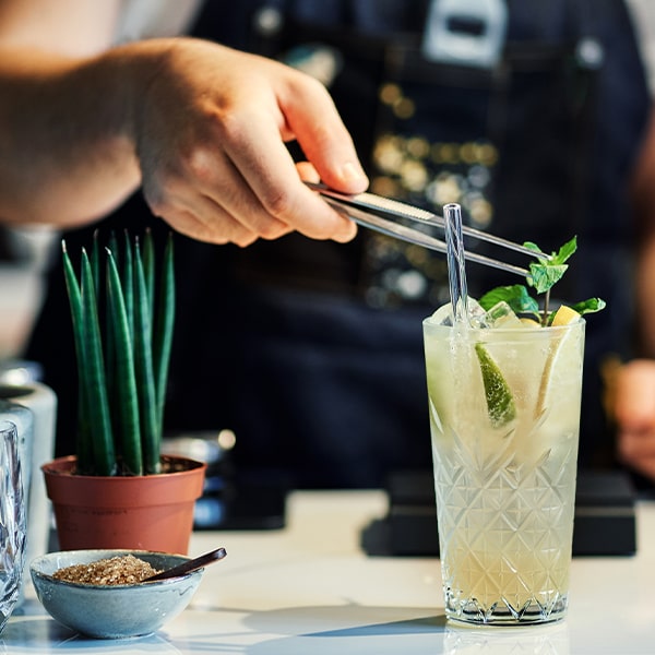 Tout savoir sur le gin (origine, distillation,...)