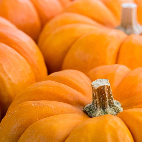 Comment cuisiner le potiron