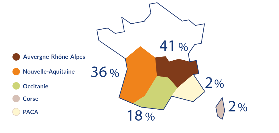 Cuisiner la châtaigne