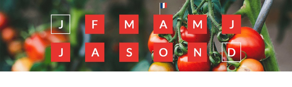 Cuisiner la tomate | METRO