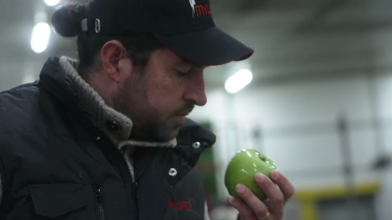 La pomme METRO CHEF produite par Romain Tessier | METRO