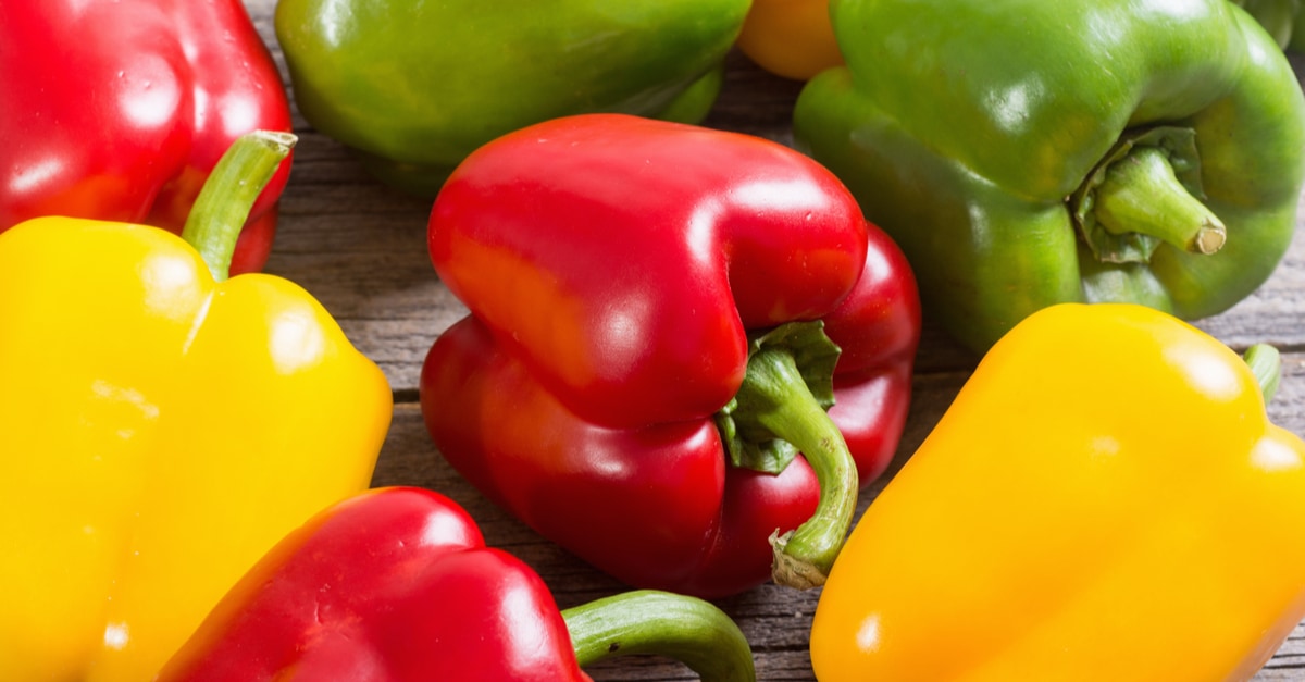 Paprika