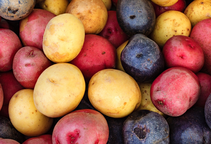 Frutta e verdura, frutta fresca, frutta secca | Horeca| METRO Italia