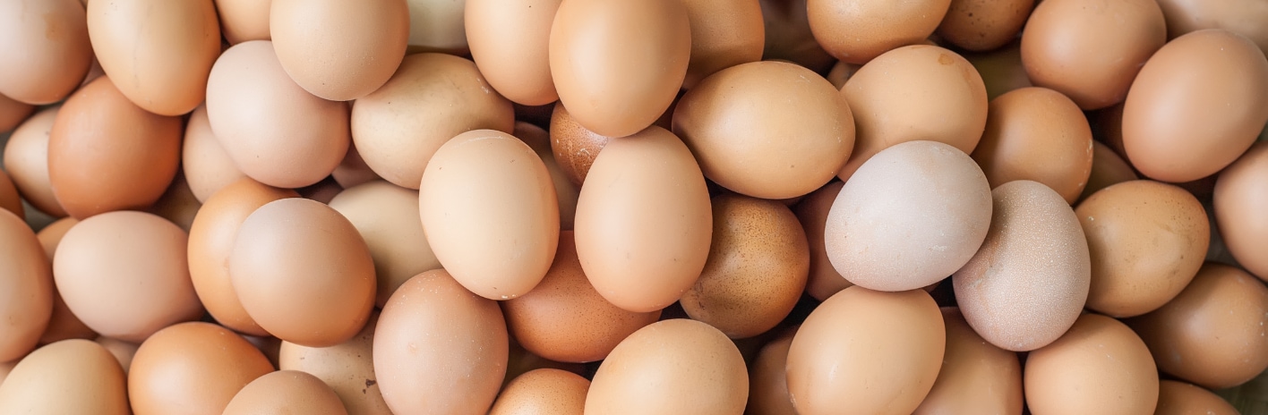 Buy Wahdat brand range at Best Prices | Metro Pakistan