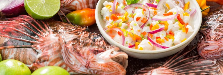 Regionalna argentinska morska riba